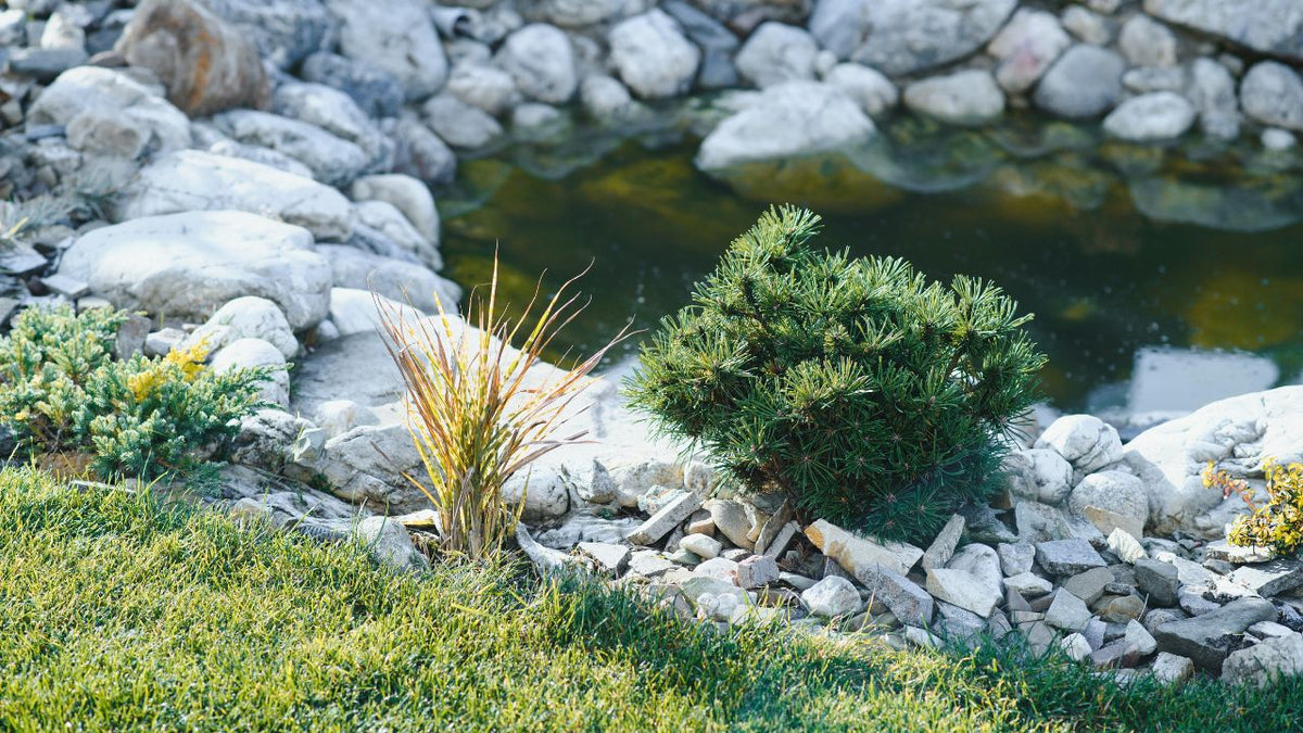How to Hide Pond Liner Edges & Secure Top Stones Easily