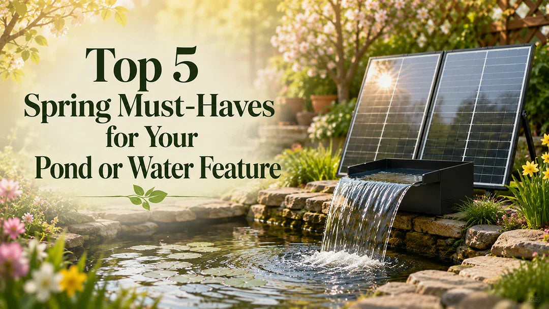 Top 5 Spring Must-Haves for a Healthy Pond and Water Feature